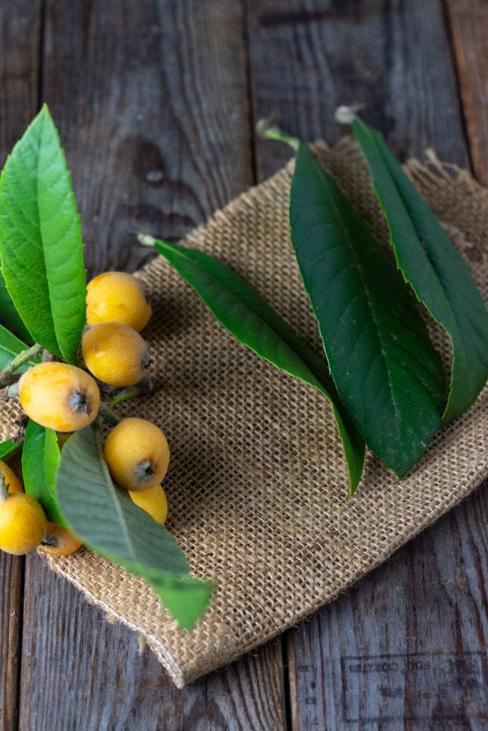 Loquat Tea - Healthier Steps