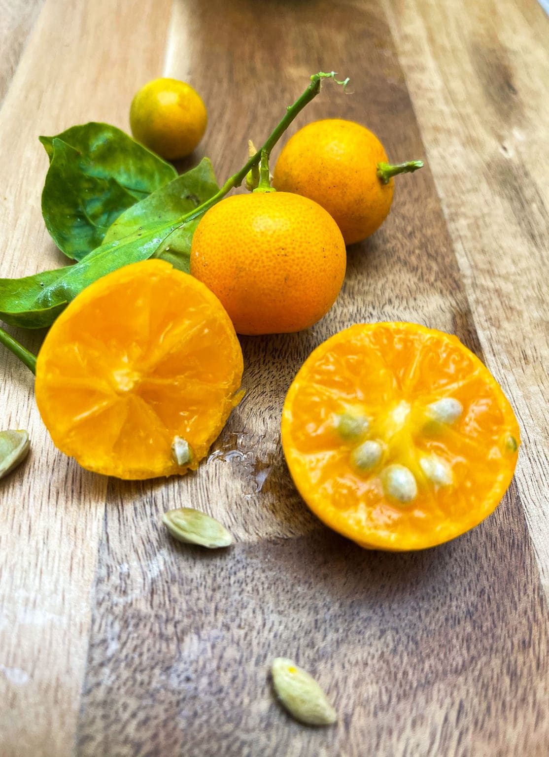 Calamansi Tree - Healthier Steps