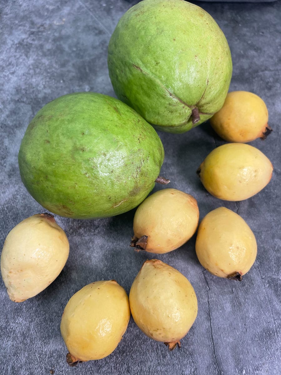 Yellow Guava - Healthier Steps