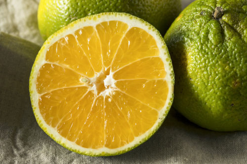 Ugli Fruit - Healthier Steps