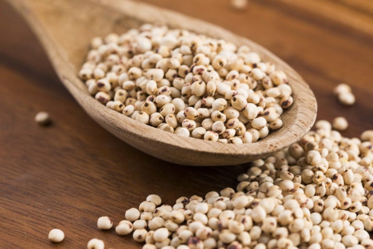 Sorghum Nutrition - Healthier Steps