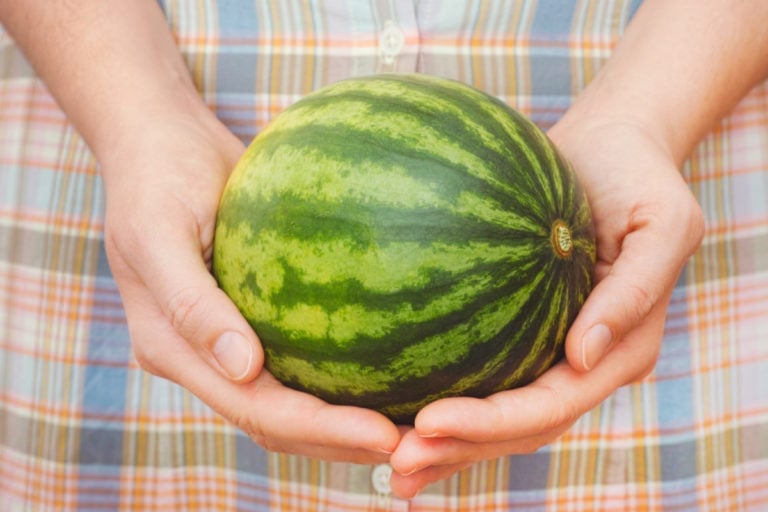 Types Of Watermelon - Healthier Steps