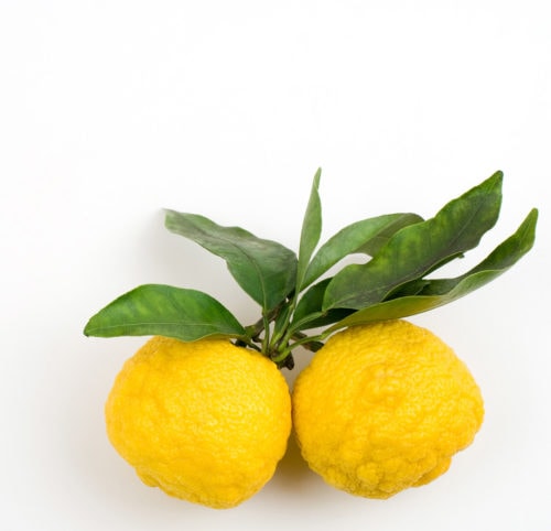 Fruits That Start With Y - Healthier Steps