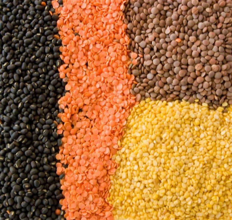 High Fiber Gluten Free Foods - Healthier Steps