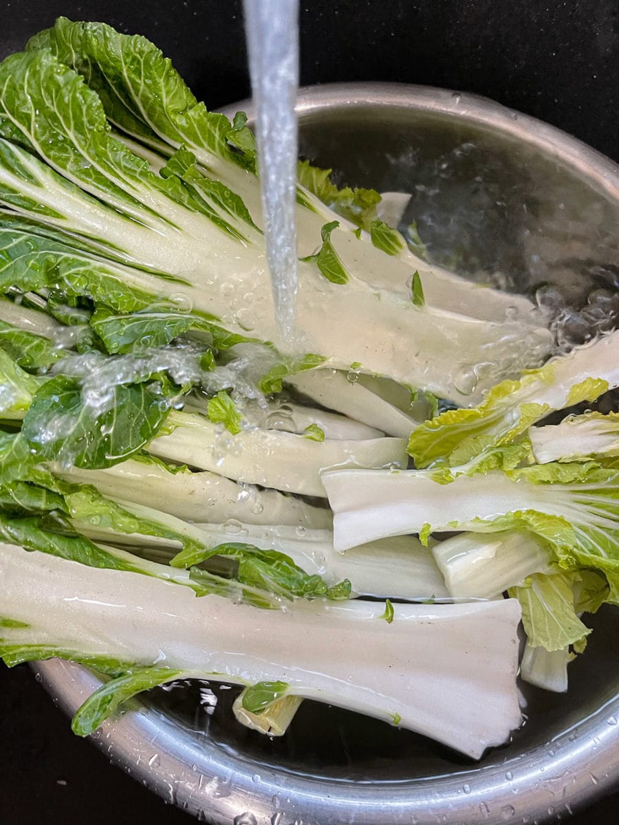 How To Freeze Bok Choy? - Healthier Steps