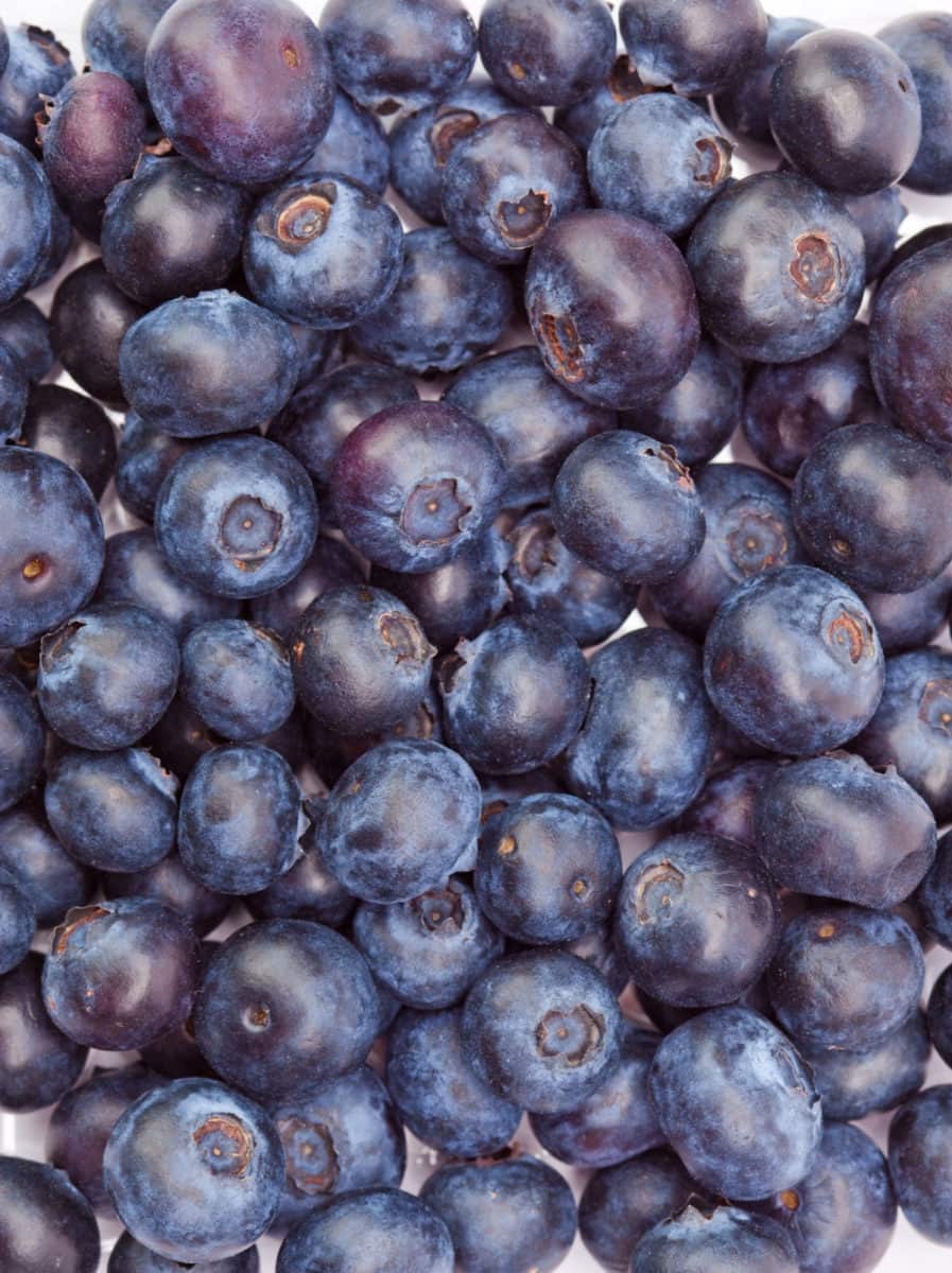 Bilberry Benefits - Healthier Steps
