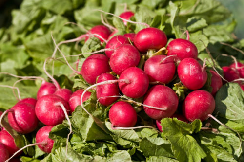 13 Best Red Vegetables - Healthier Steps