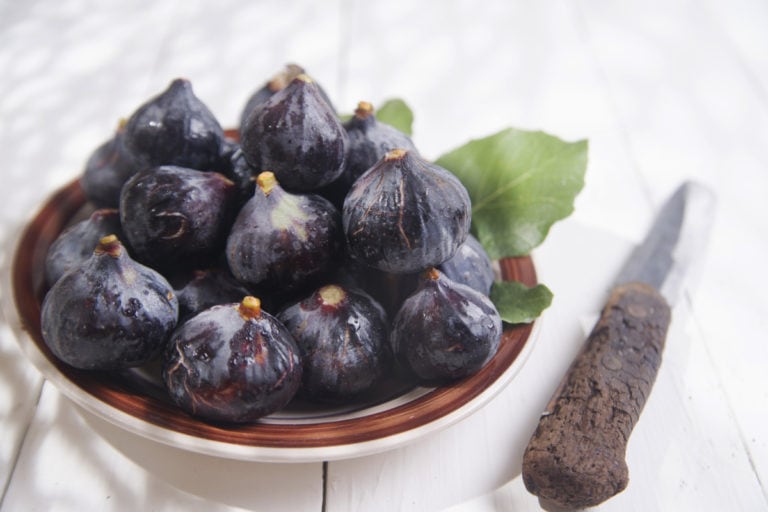 Black Mission Fig - Healthier Steps