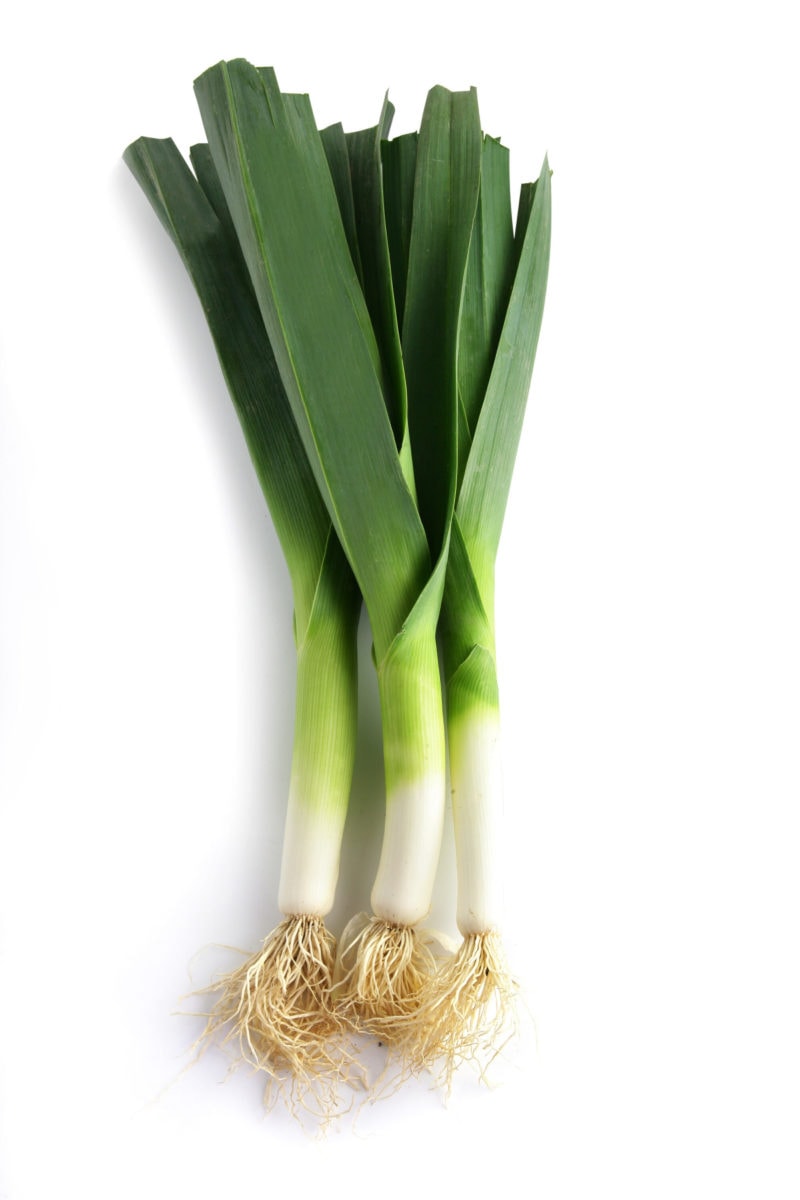 Best Vegetables to Grow In Winter - Healthier Steps