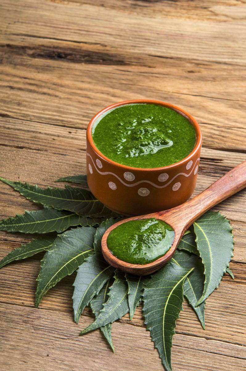 Benefits of Neem - Healthier Steps