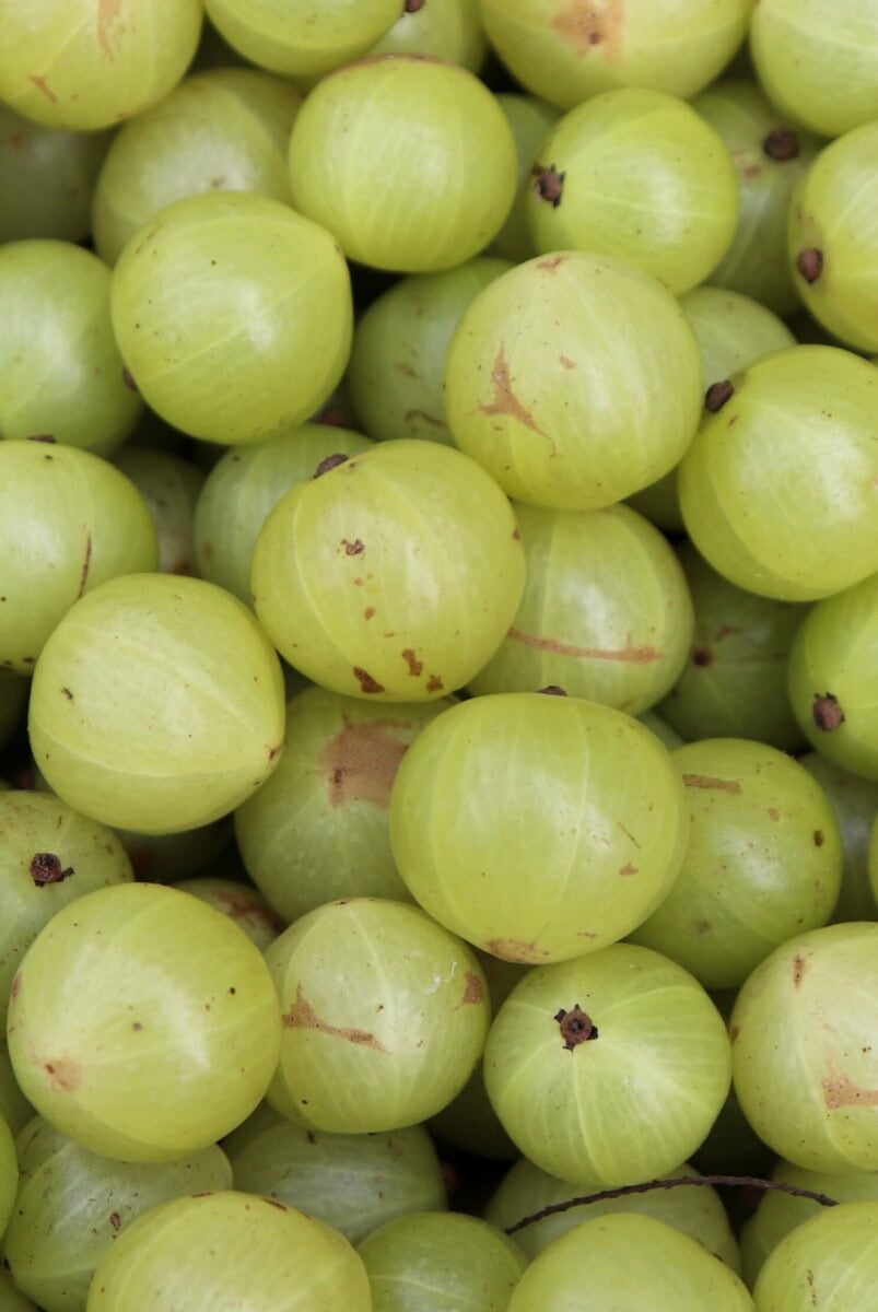 Amla Benefits - Healthier Steps