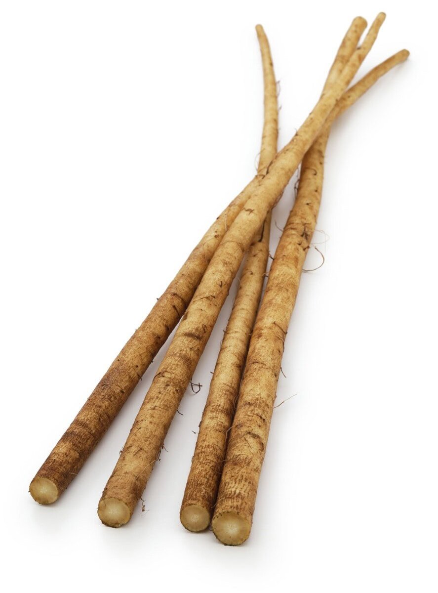 Health Benefits of Burdock Root - Healthier Steps