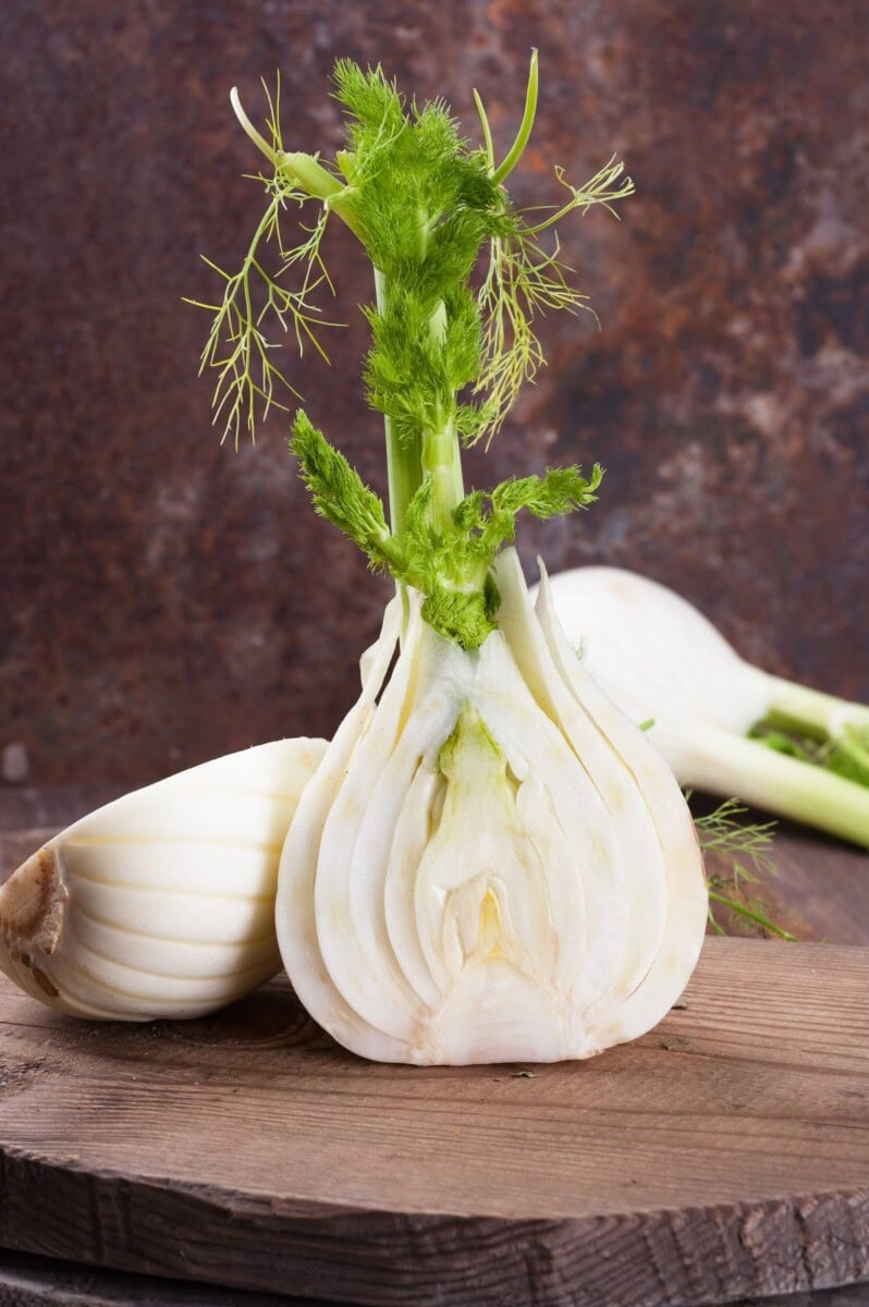 How to Grow Fennel - Healthier Steps