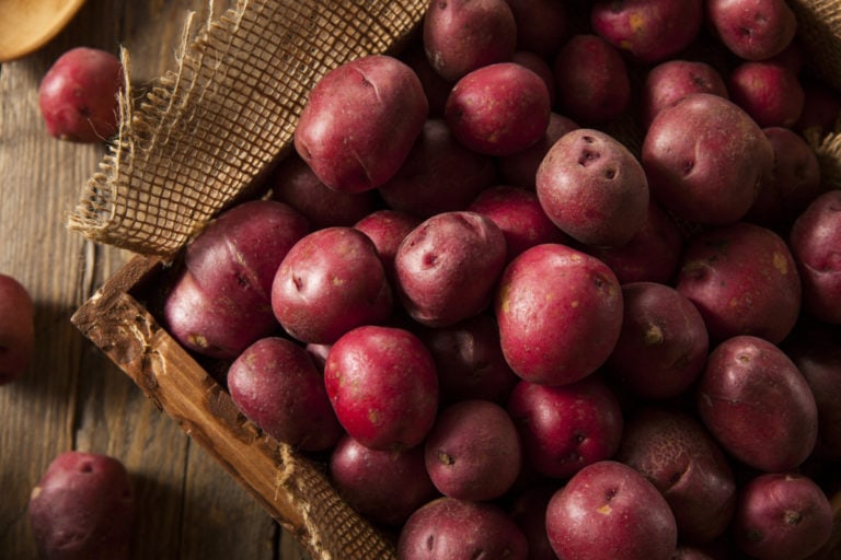 Top 15 Best Red Foods to Eat - Healthier Steps