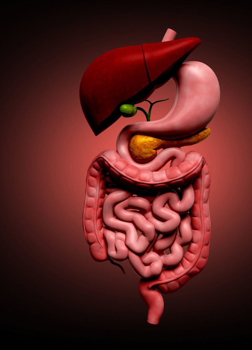 Signs You May Have a Bad Liver - Healthier Steps