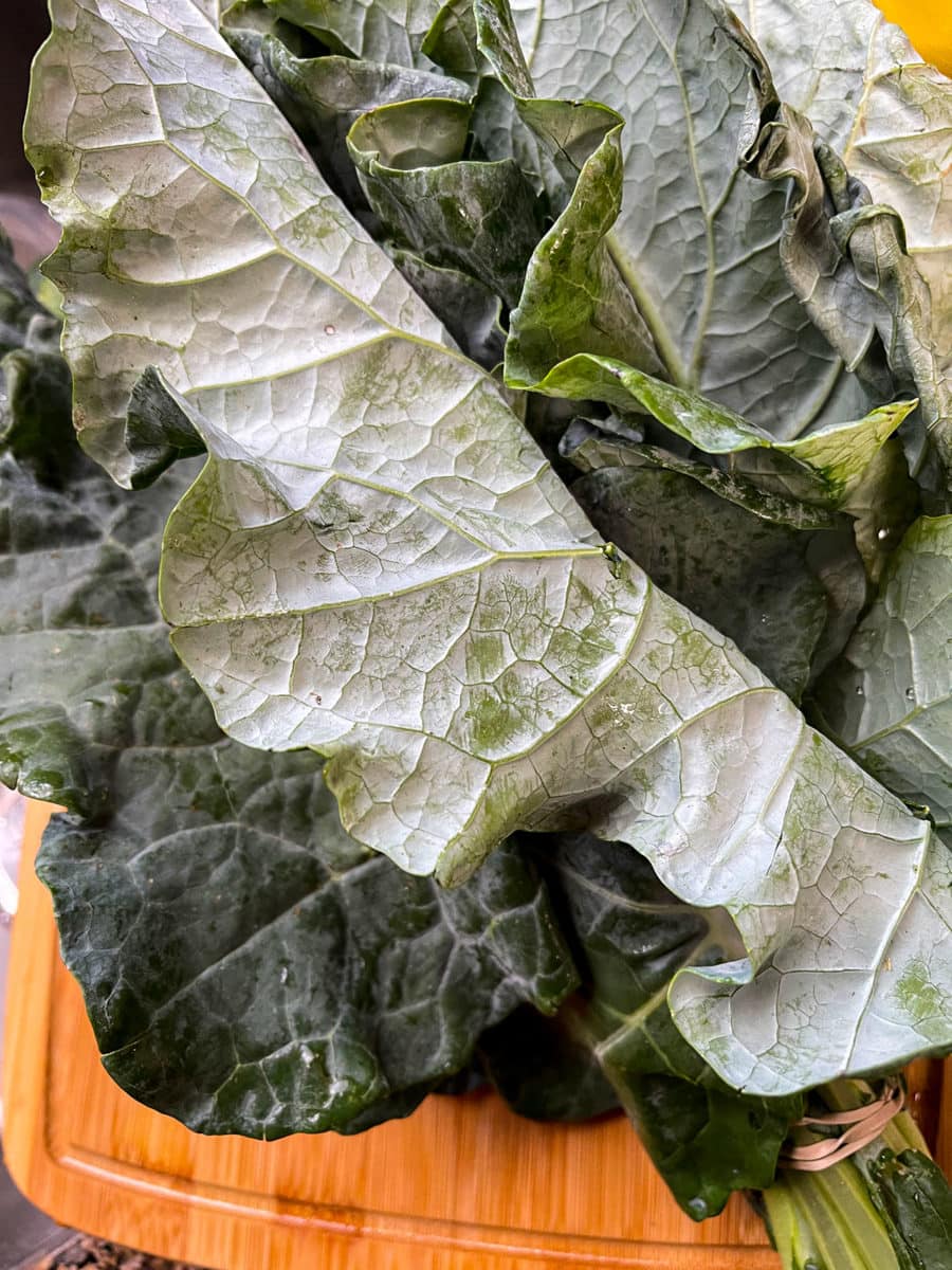 Broccoli Leaves Recipe - Healthier Steps