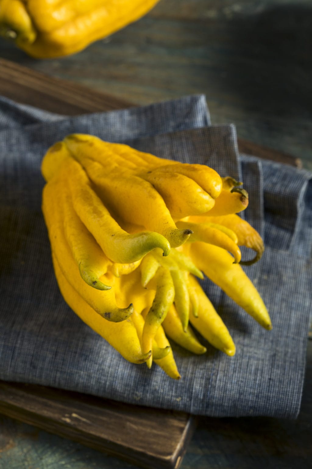 How to Grow Buddha’s Hand? - Healthier Steps