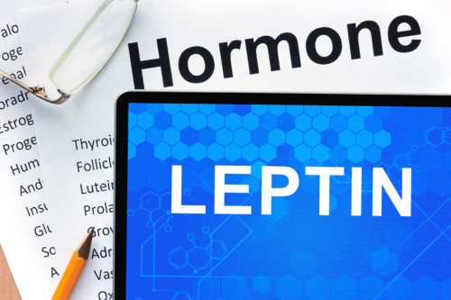 How To Increase Leptin? - Healthier Steps