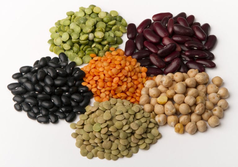 What Are Legumes? - Healthier Steps