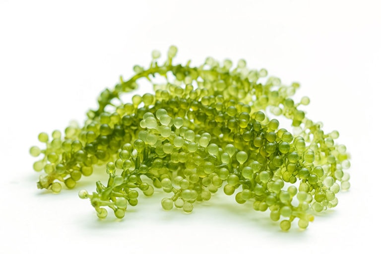 UMIBUDO (SEA GRAPES) - Healthier Steps
