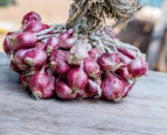 What are Shallots Plus Health Benefits - Healthier Steps