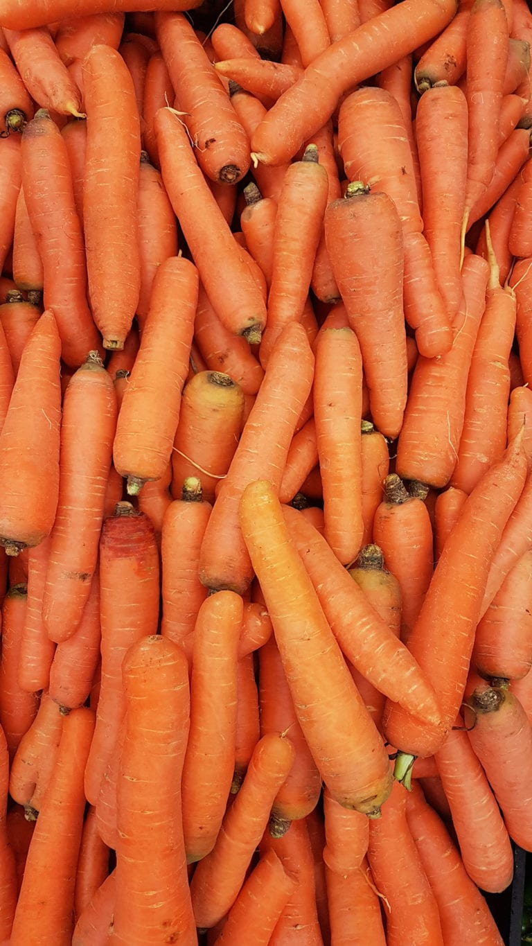 Vegetables Containing Folic Acid - Healthier Steps