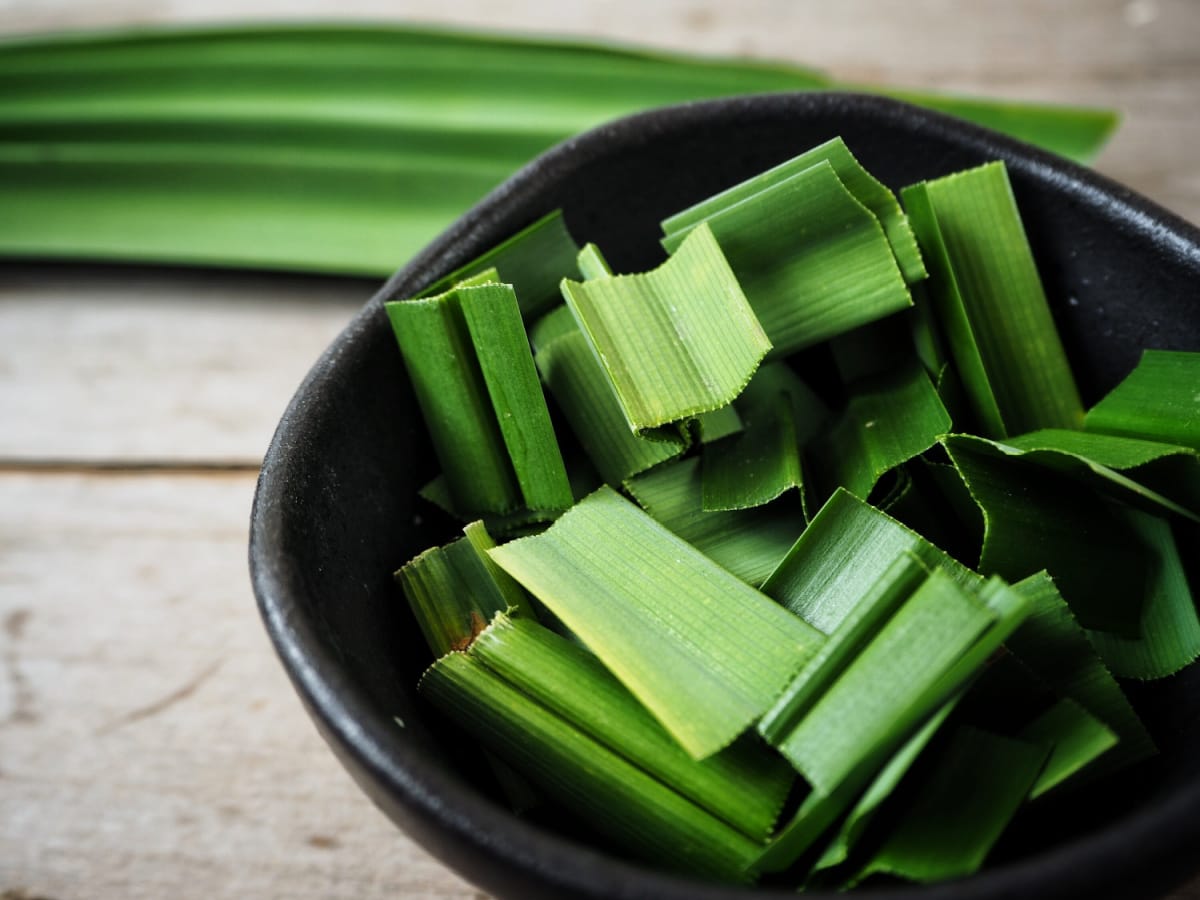 Benefits Of Pandan Tea Leaves At Josiah Rothe Blog Benefits Of Pandan Tea Leaves At Josiah Rothe Blog