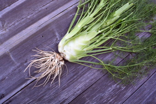 9 Unexpected Ways to Use Ground Fennel - Healthier Steps