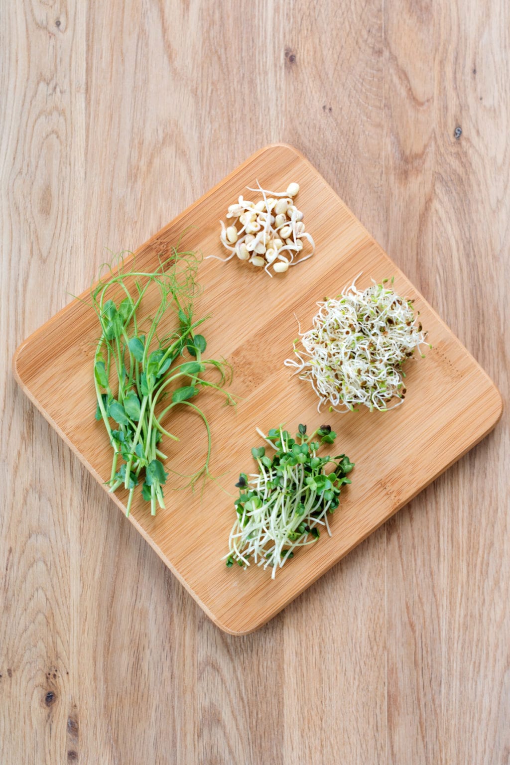 Microgreens vs Sprouts: What Are They? - Healthier Steps