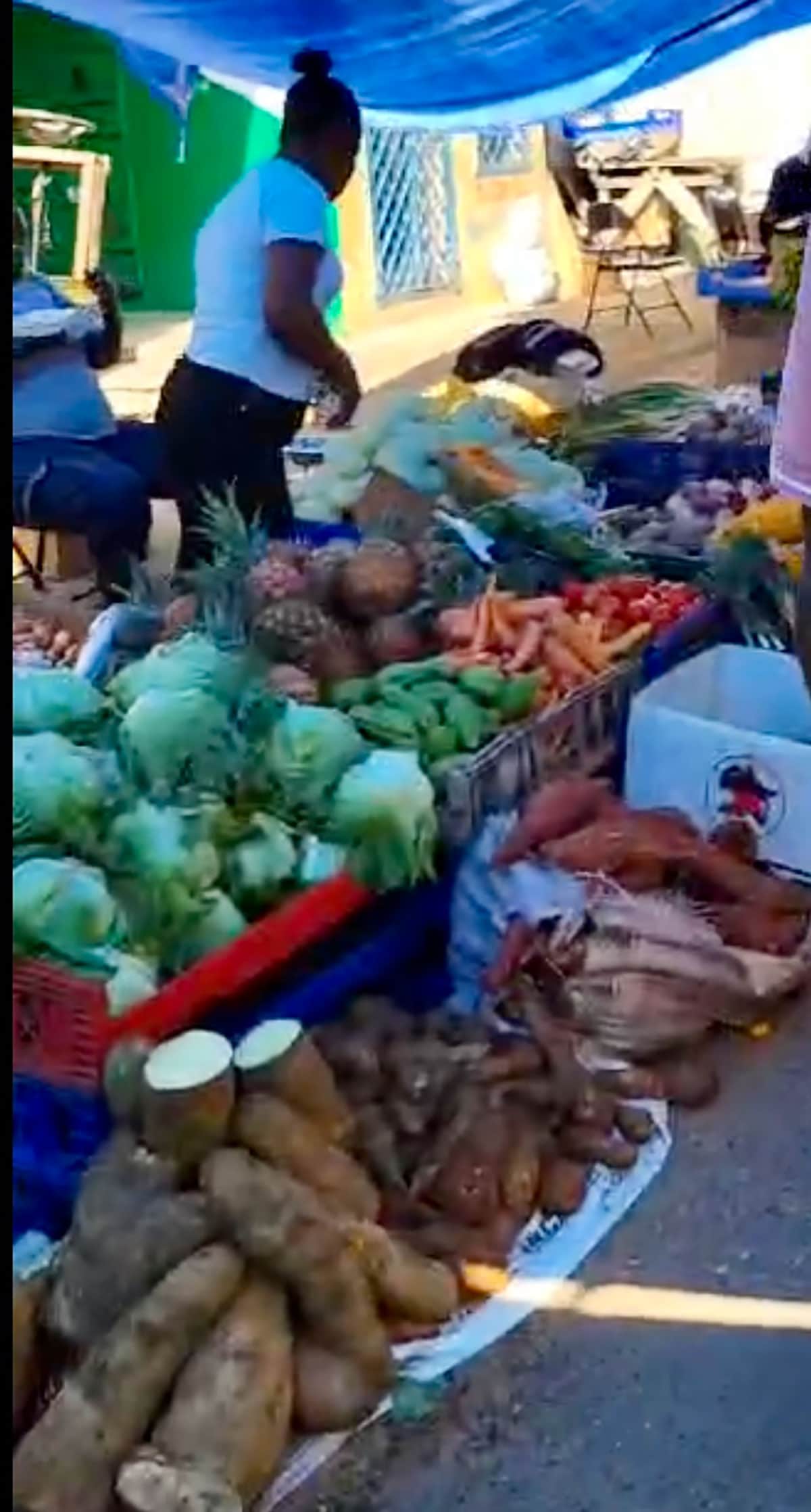 Vegan Jamaican Kitchen Staples: Your Essential Guide to Tasty Island ...